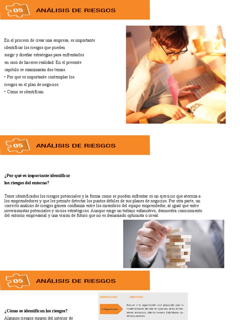 Paso 5 Analisis de Riesgos (Plan de Negocios) | PDF | Riesgo ...