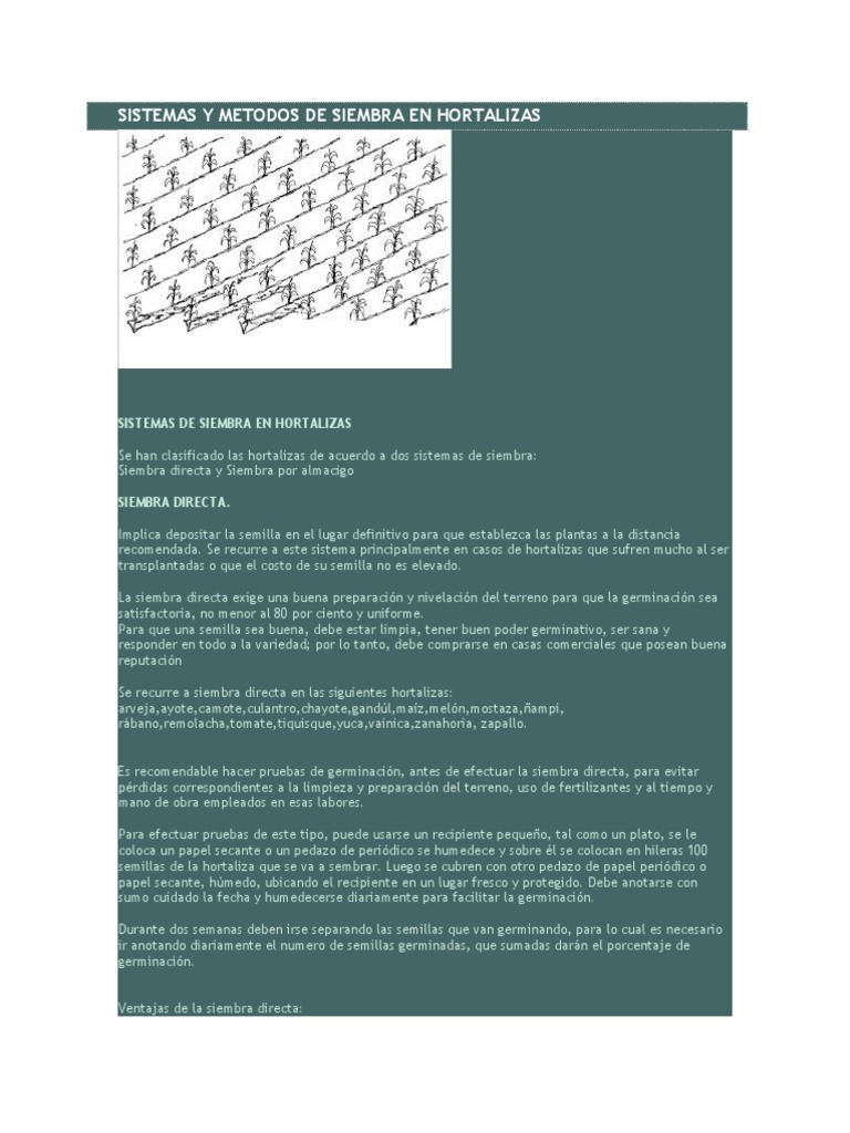 Sistemas y Metodos de Siembra en Hortalizas | PDF | Siembra | Suelo