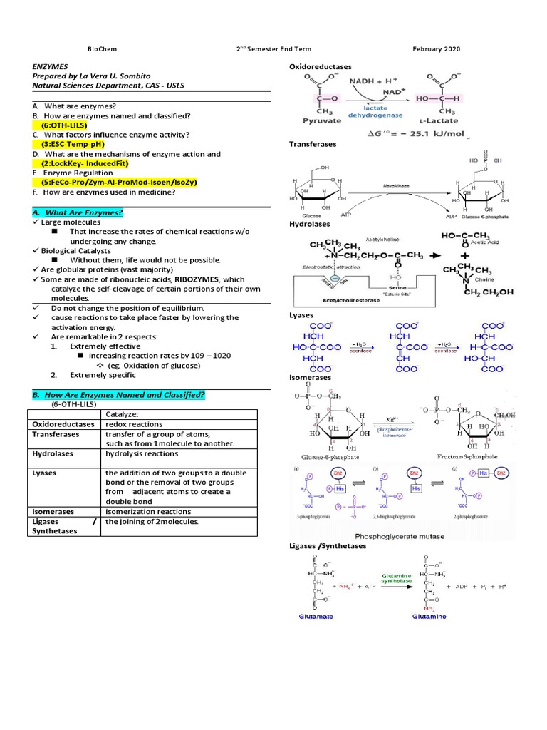 Biochem Enzymes | PDF | Active Site | Enzyme
