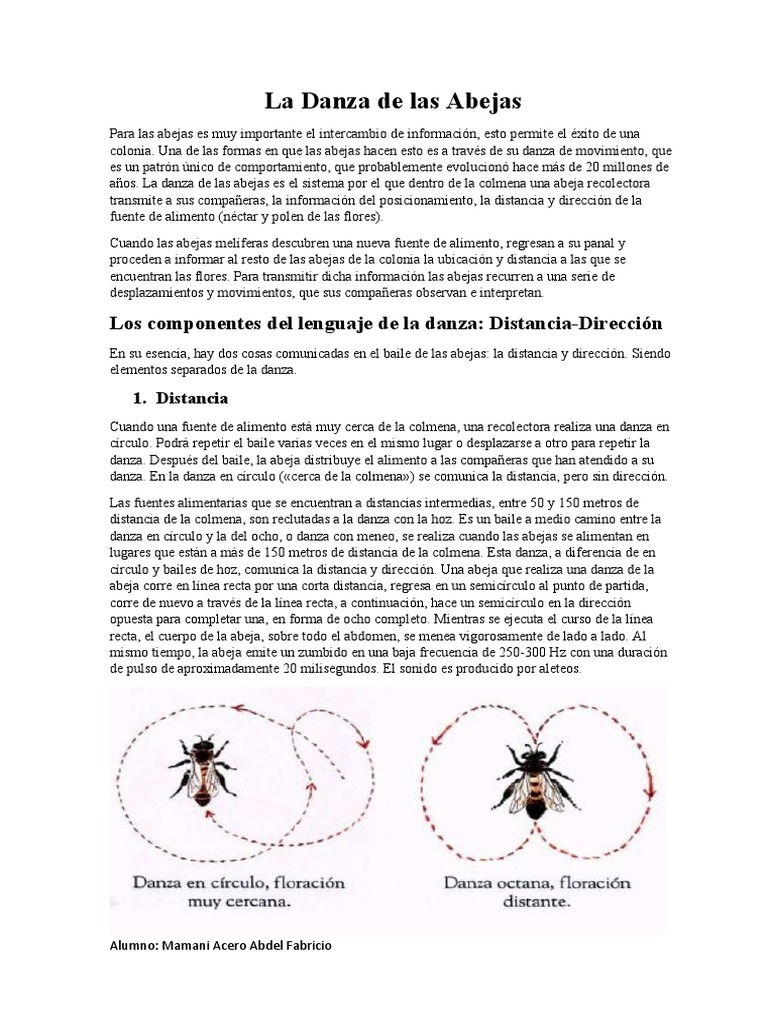 Comunicación de Las Abejas | PDF | Naturaleza | Alimentos