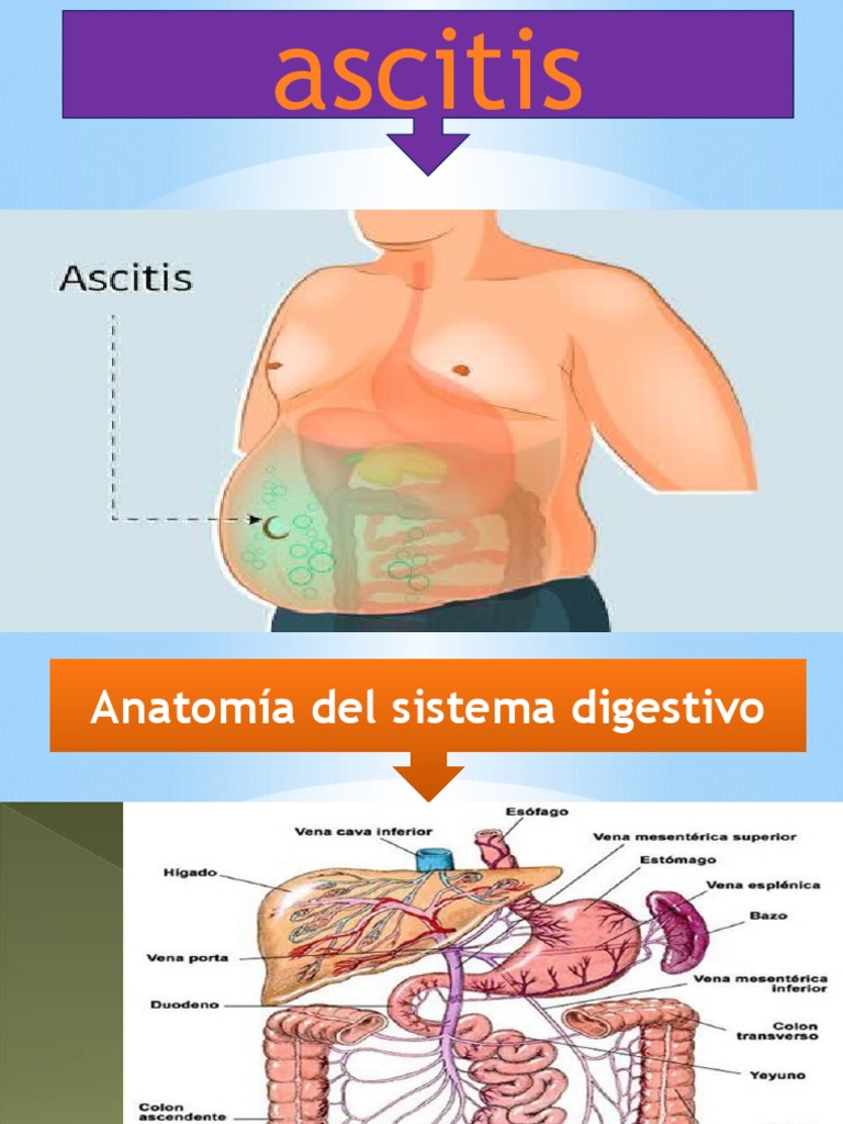 ACITIS | PDF | Riñón | Cirrosis