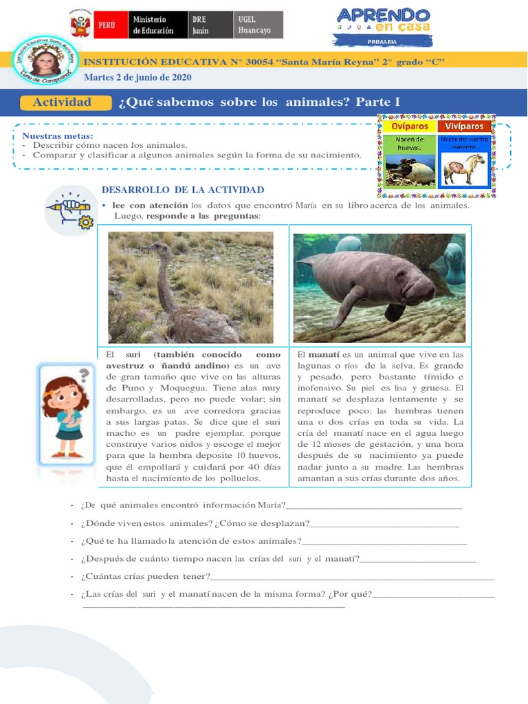 02-06 Qué Sabemos Sobre Los Animales I PDF | PDF | Huevo | Aves