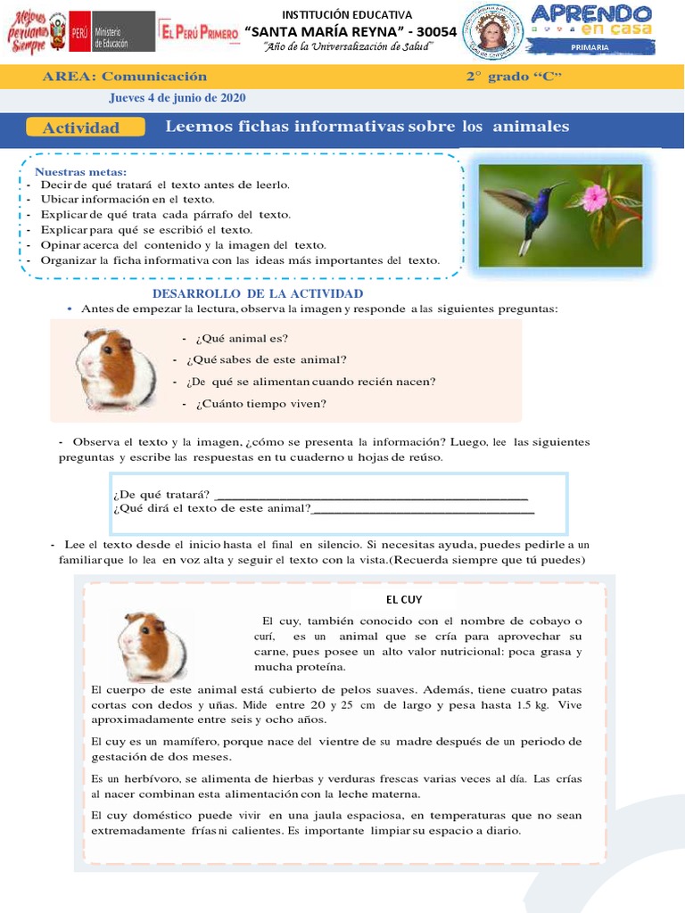 04-06 Leemos Fichas Informativas Sobre Animales PDF | PDF | Conejillo ...
