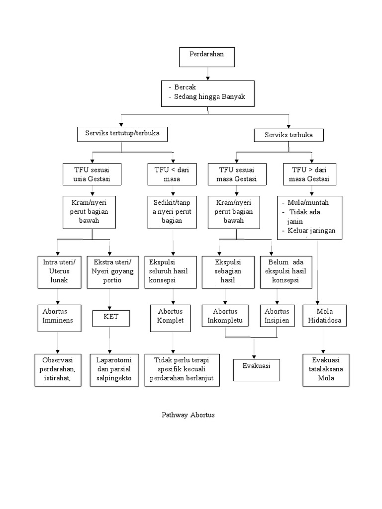 Patofisiologi dan Tatalaksana Abortus | PDF