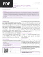 Dayap: Uses and Benefits of Lime | PDF | Citrus | Lime (Fruit)
