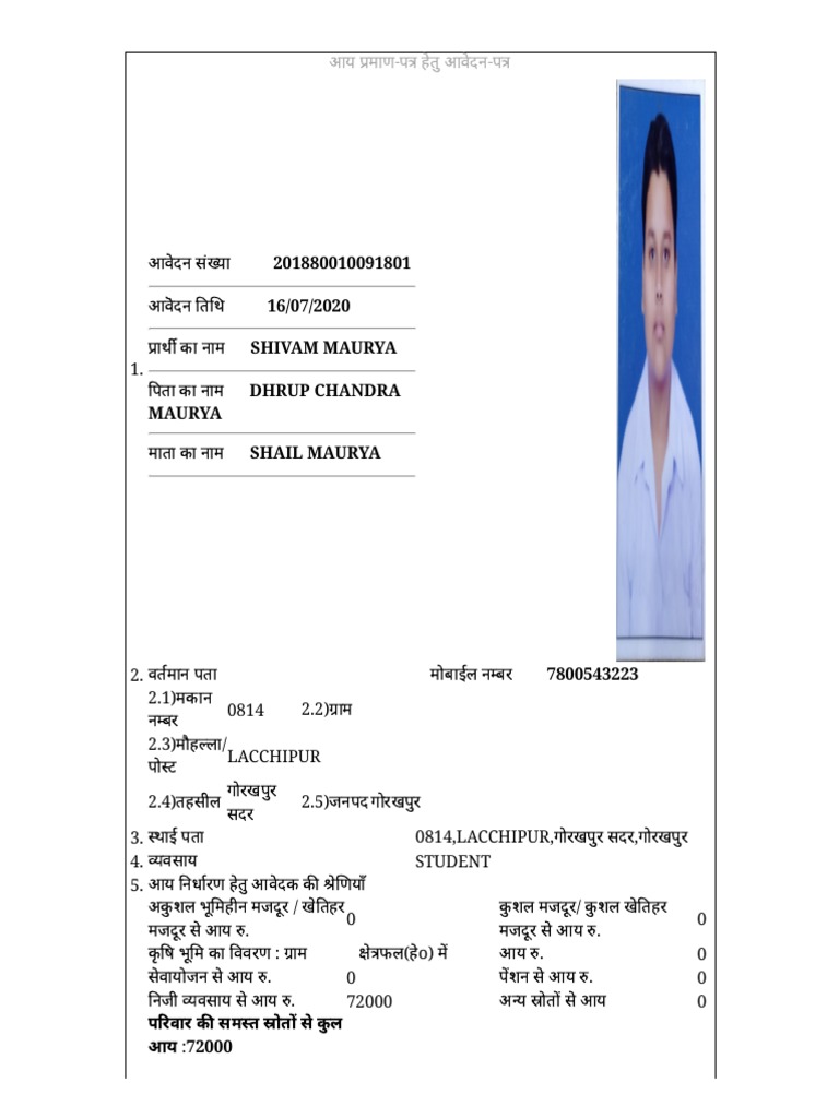 Income Certificate Application | PDF
