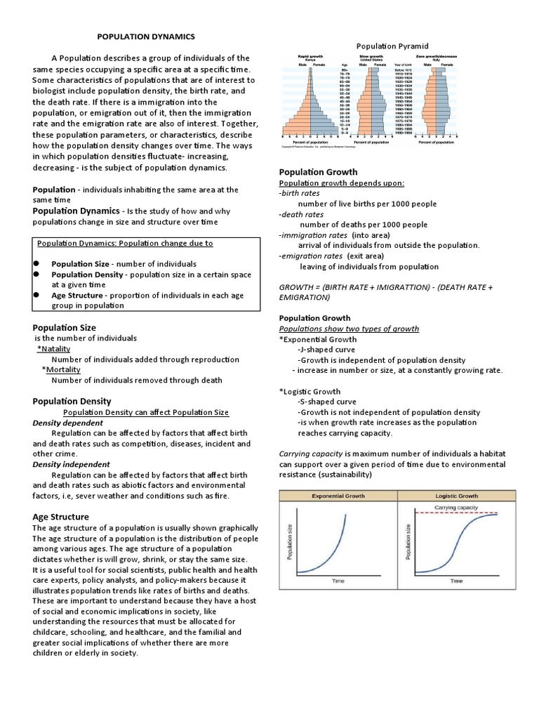 Population Dynamics | PDF | Population Growth | Sustainability