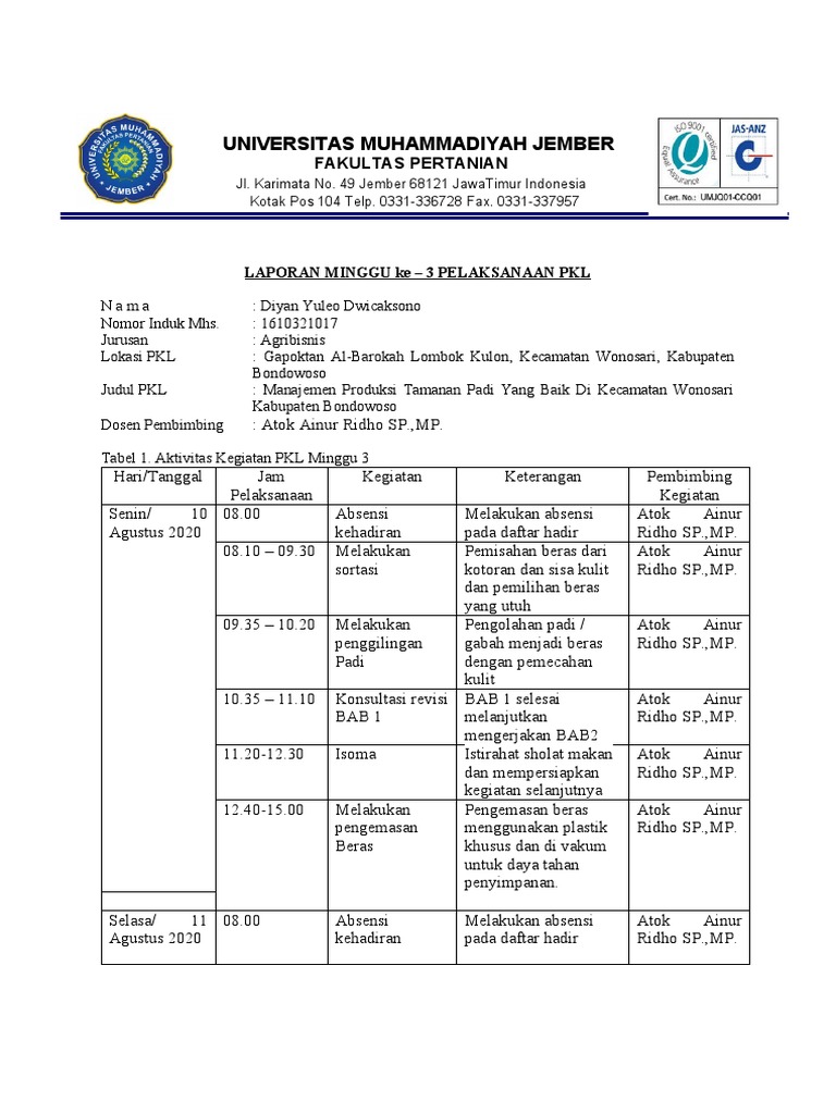 Logbook Minggu PKL UMJ | PDF