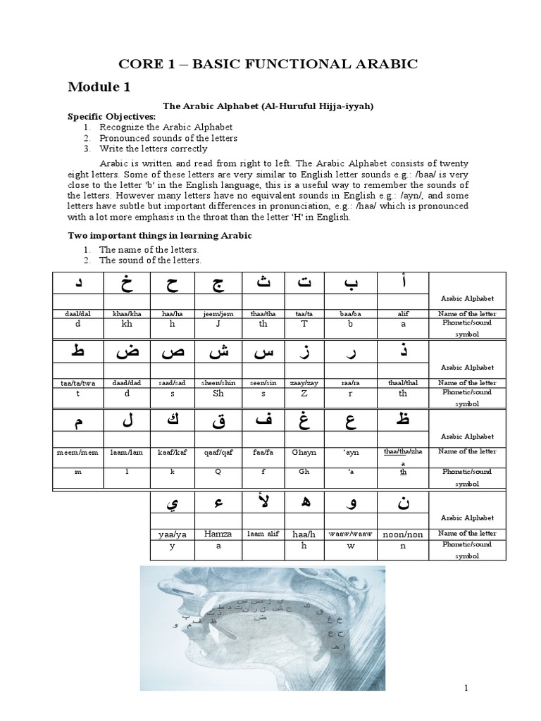 MODULE Arabic | PDF | Orthography | Languages Of Israel