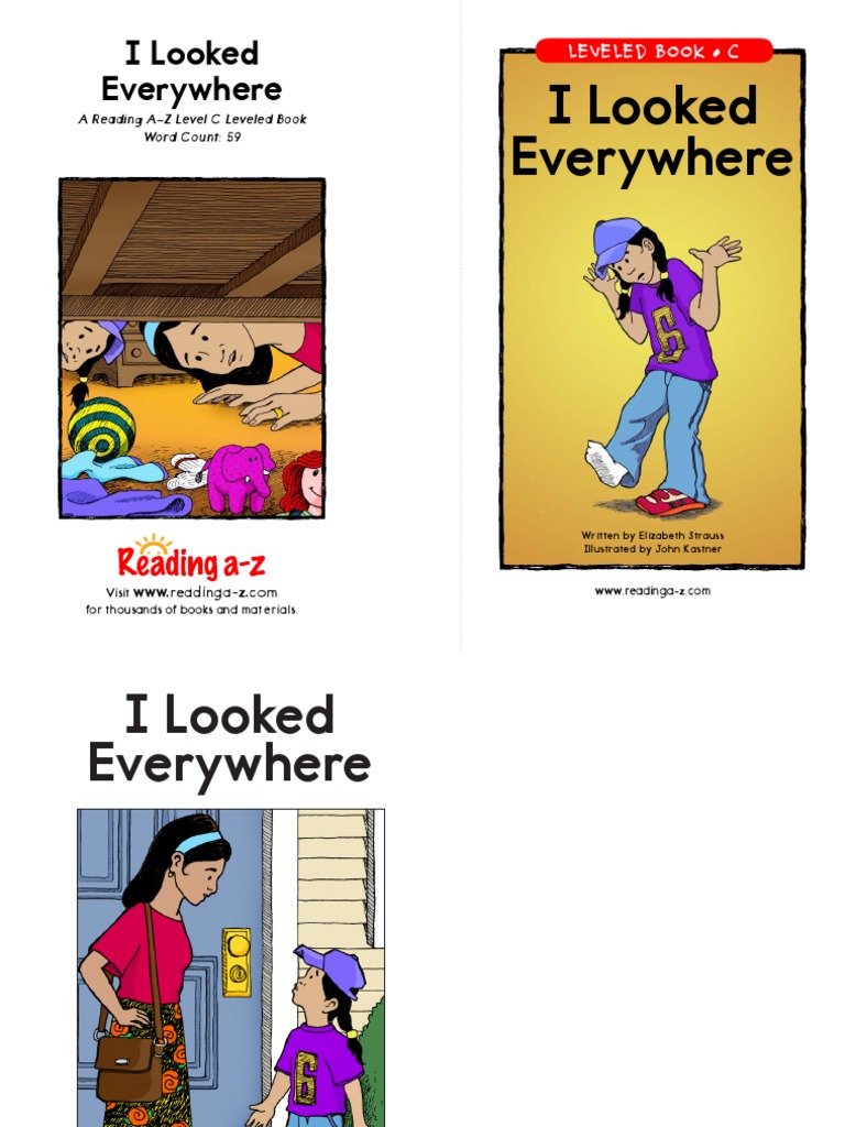 I Looked Everywhere - Book | PDF