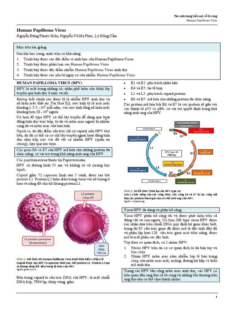 CIN Và Ung Thư C T Cung PDF | PDF