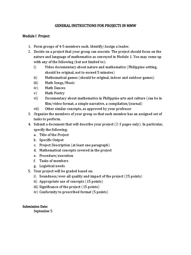 Instructions For Module 1 Project in MMW SV | PDF