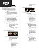 AOS Injury Classification Systems Poster UPPERCERVICAL | PDF | Spinal ...