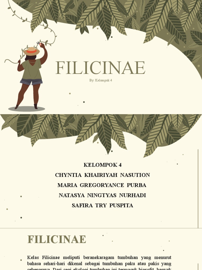 Gambar dan Reproduksi Tumbuhan Paku | PDF | Griya & Taman