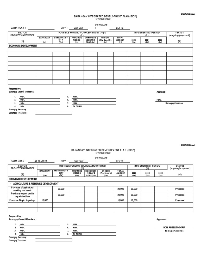 Barangay Integrated Development Plan (Bidp) | PDF