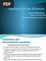 Hand Neutralisation and Vertometry | PDF | Glasses | Equipment