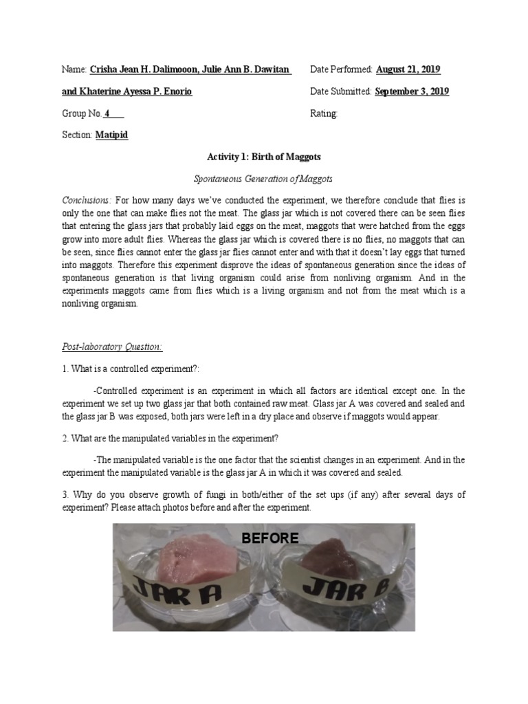 Birth of Maggots9807 | PDF | Experiment | Fly