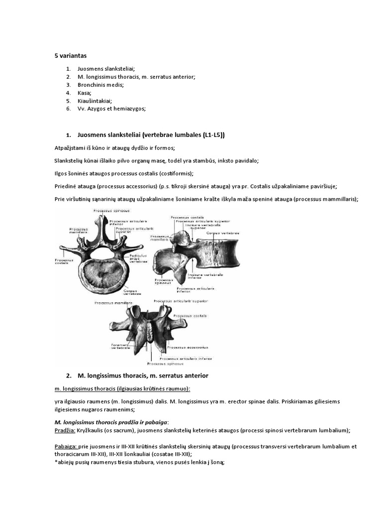 5 Variantas Liemuo | PDF
