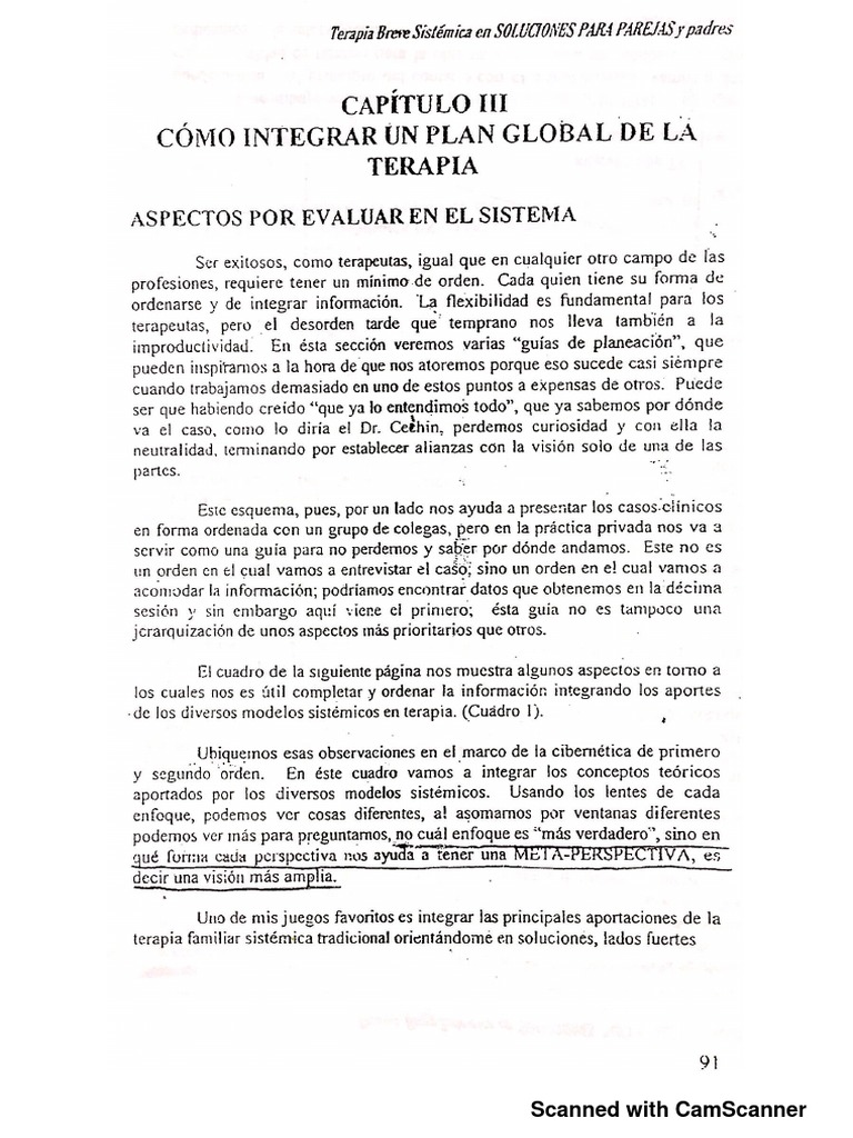 SOLUPA Cap 3 Como Integrar Un Plan Global de La Terapia | PDF