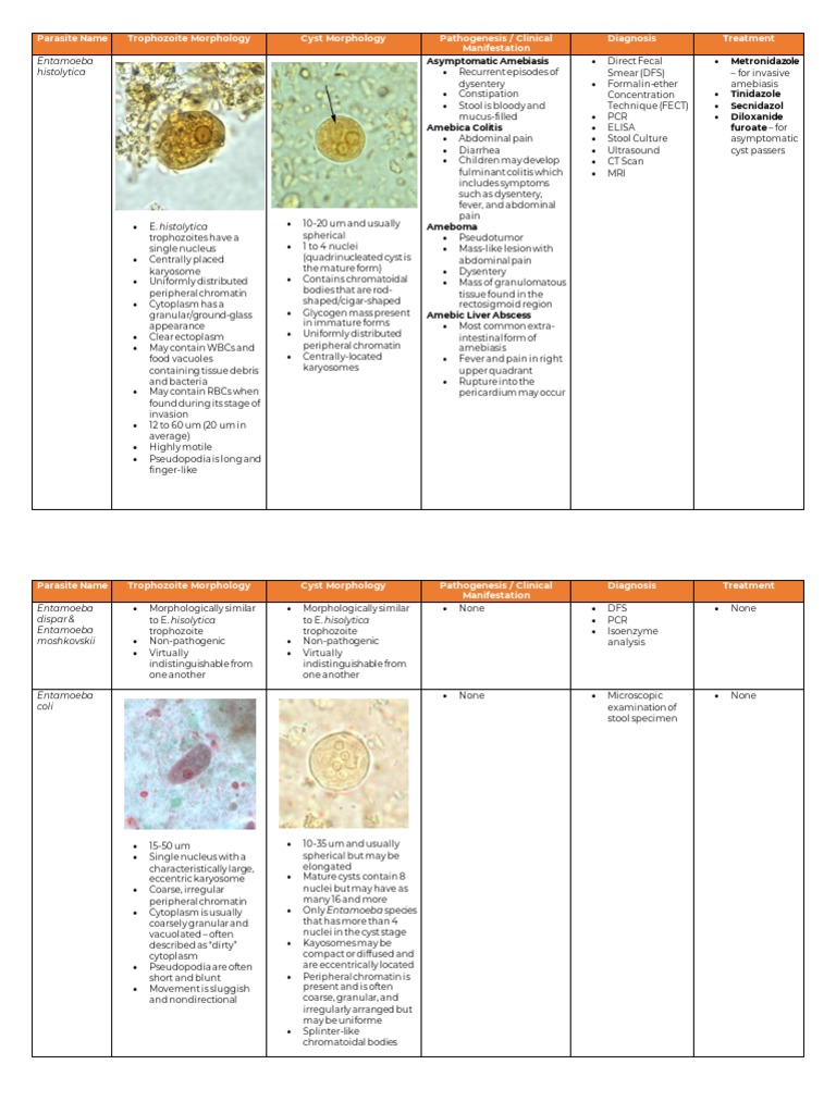 Human Skin Parasites Overview | PDF | Medical Specialties | Clinical ...