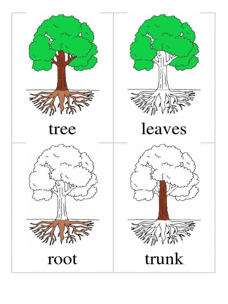Tree | PDF