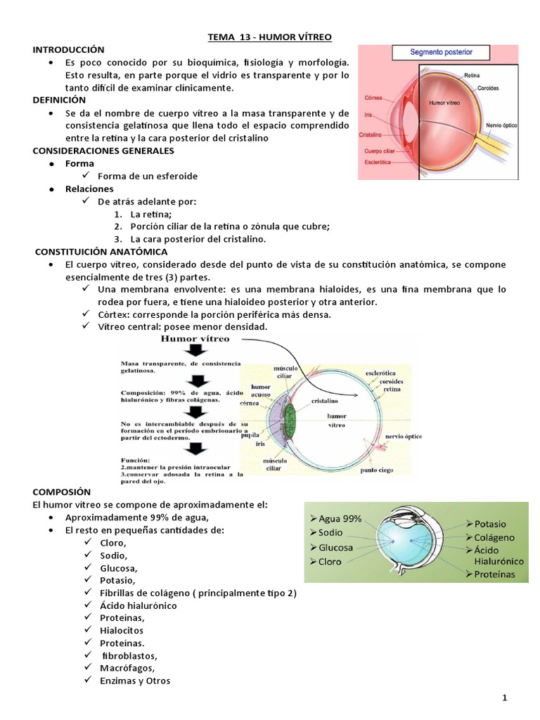 Tema 13 - Humor Vitreo | PDF | Ojo humano | Oftalmología