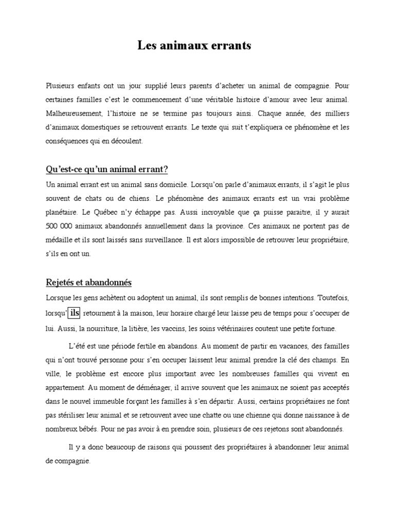 Animaux Errants : Causes et Conséquences | PDF | Chats | Chiens