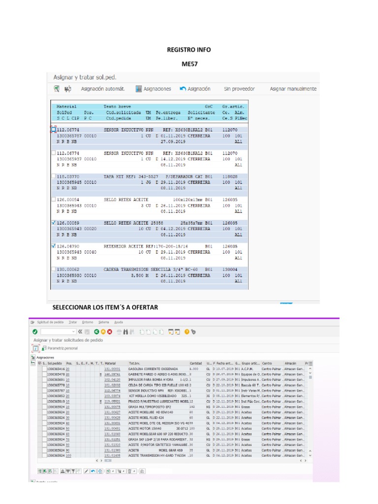 Manual Registro Info en Sap | PDF
