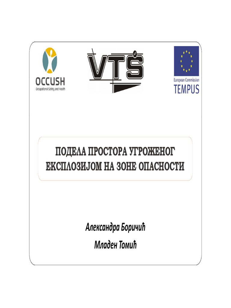 BZNR 4 Boricic Tomic PDF | PDF