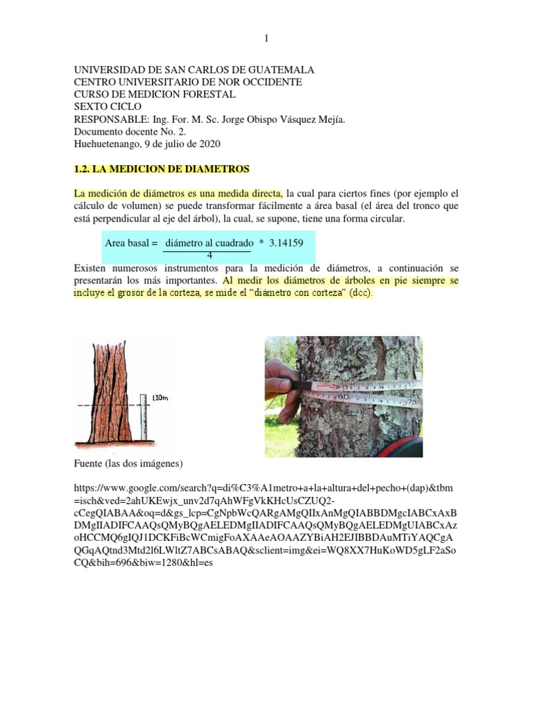 Documento 2 de Dasometría PDF | PDF | Arboles | Medición