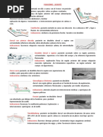 Posicion Flower Semiflower | PDF