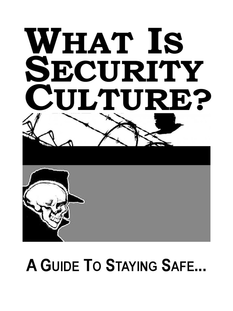 What Is Security Culture Pdf