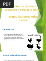 Tipos y adaptaciones del pico de aves | PDF