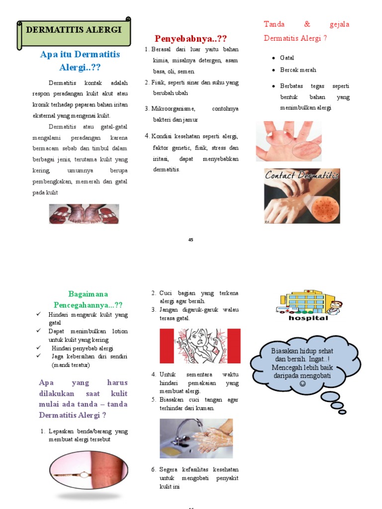 Leaflet Dermatitis 2 2 | PDF