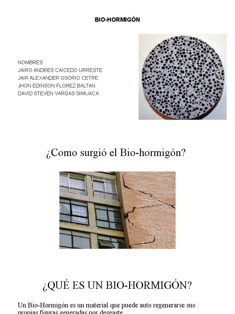 Bio Hormigón | PDF | Ácido láctico | Sustancias químicas