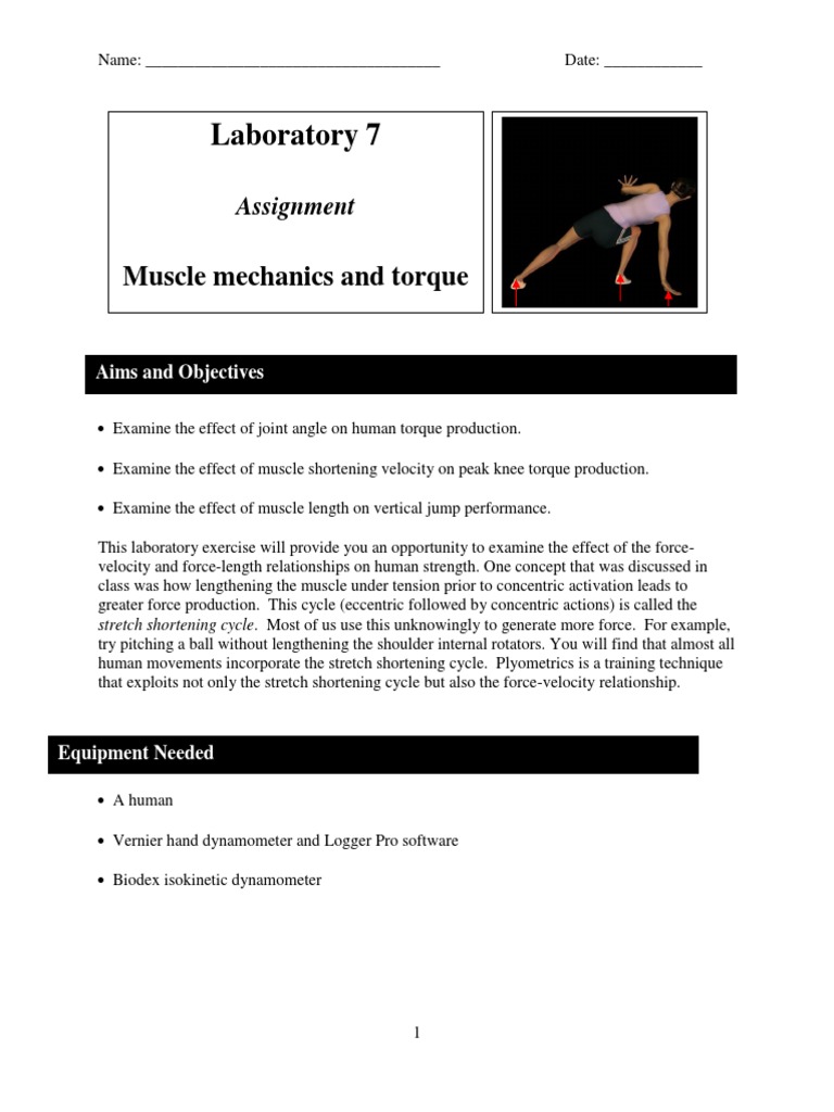 Lab - 7 - Muscle Mechanics and Torque - Fall 19 | PDF | Muscle ...