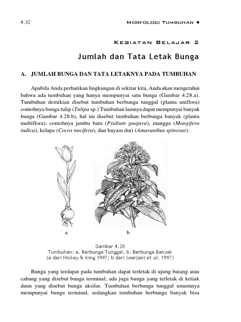 MODUL Jumlah Dan Tata Letak Bunga 188-206 | PDF