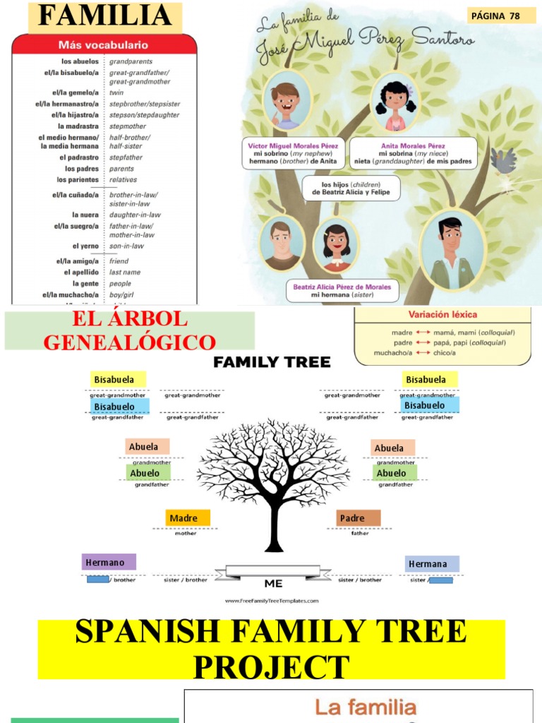 La Familia | PDF | Grammatical Gender | Adjective