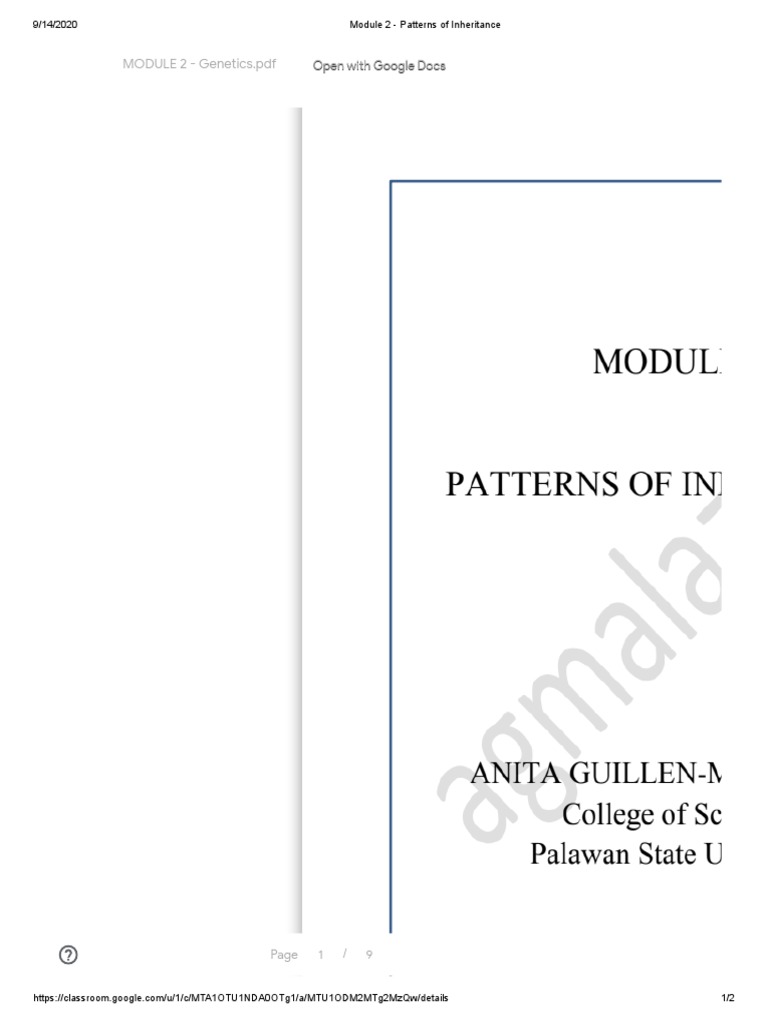 Module 2 - Patterns of Inheritance | PDF