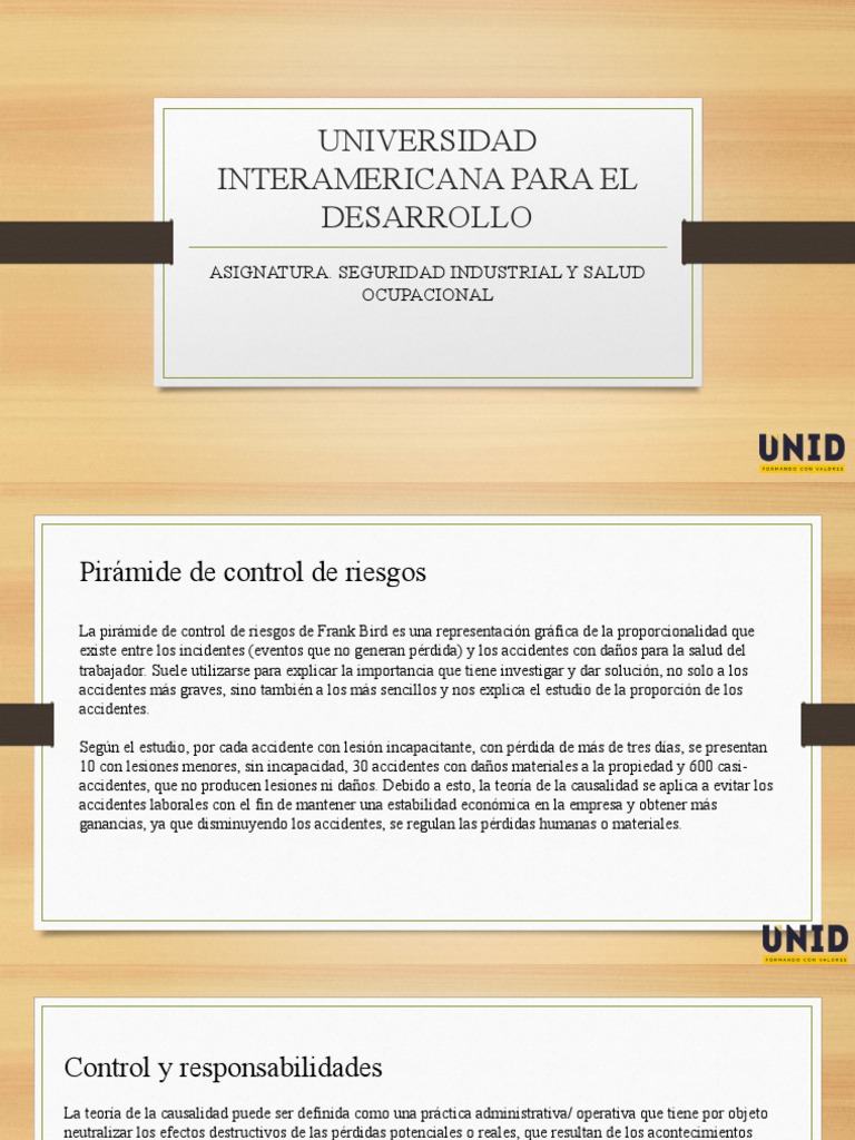 La Piramide de Bird | PDF | Teoría | Business