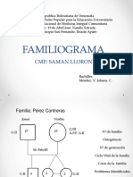 El Mapa Familiar | PDF | Mapa | Información