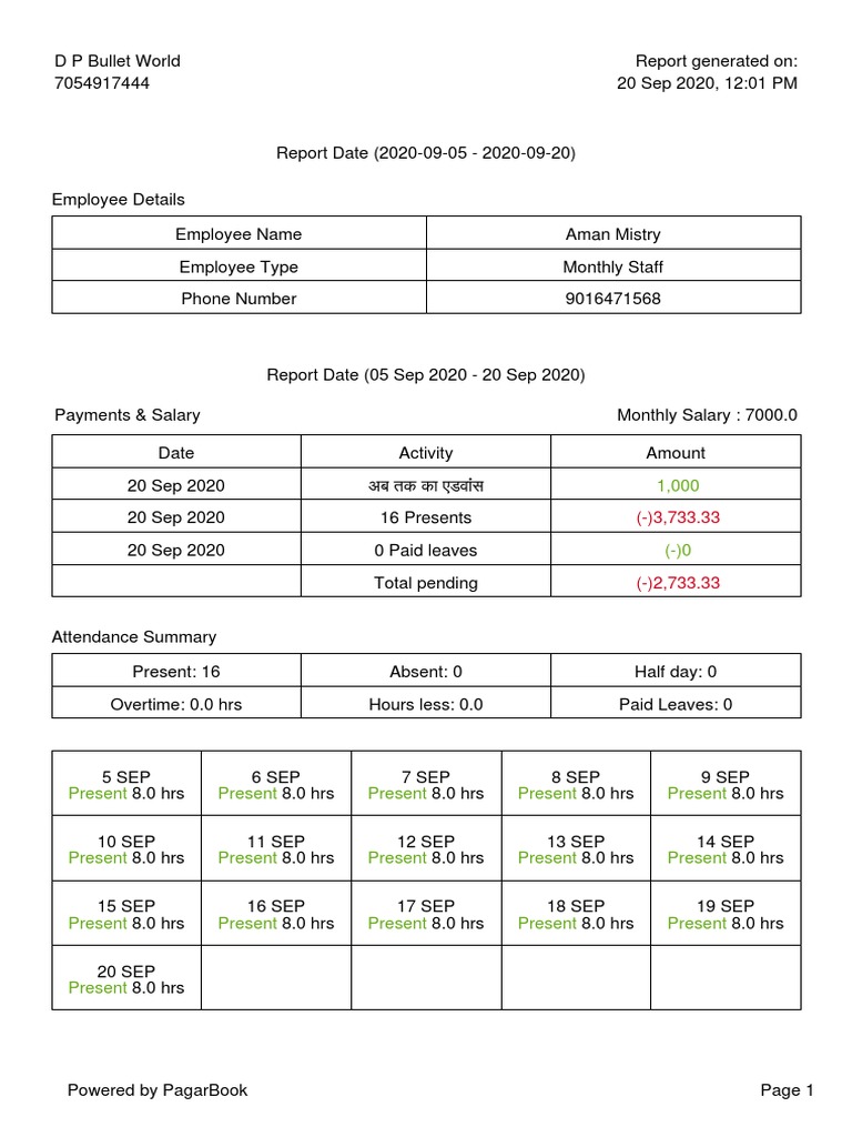 Pagarbook Report 2020 09 20 | PDF