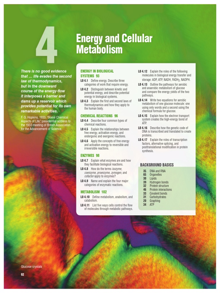 Energy and Cellular Metabolism: Energy in Biological Systems 93 | PDF ...