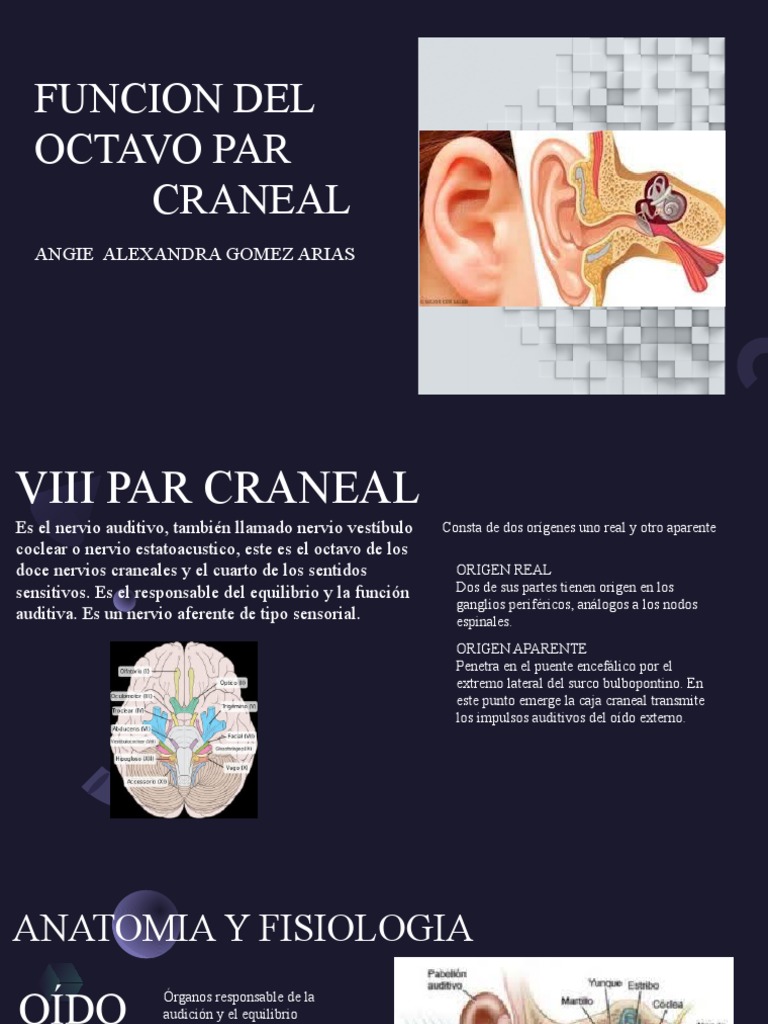 FUNCION DEL OCTAVO PAR CRANEAL Fisiologia | PDF