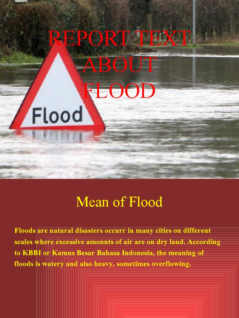 Teks Report Flood | PDF | Social Science | Science & Mathematics