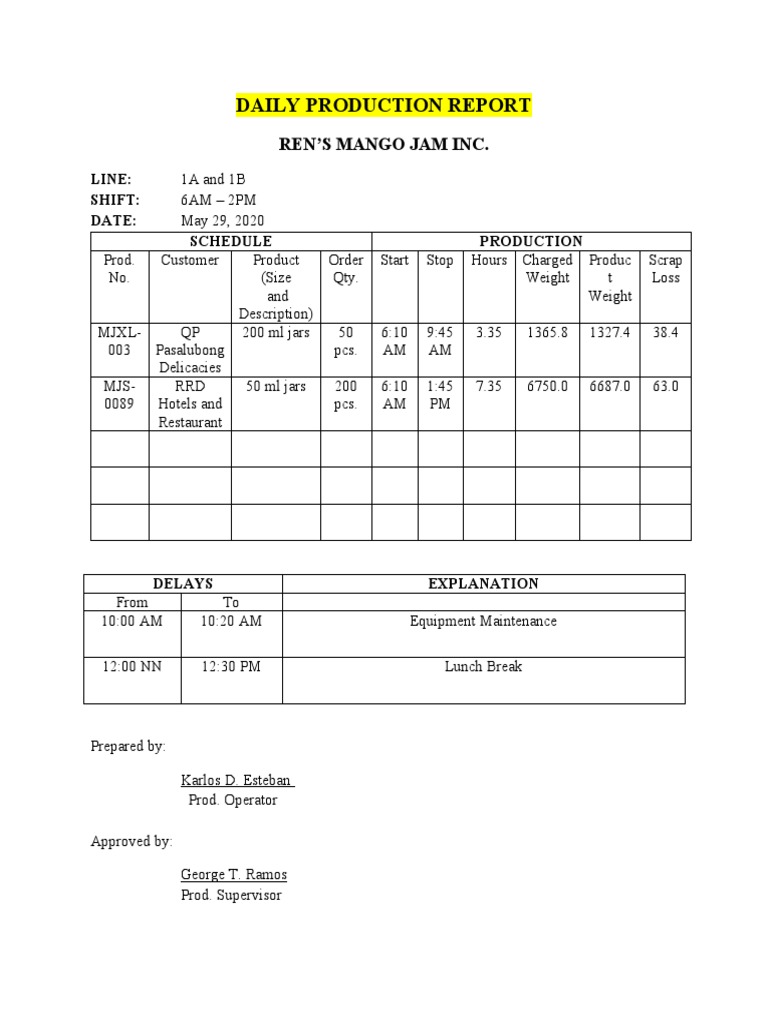 Daily Production Report | PDF