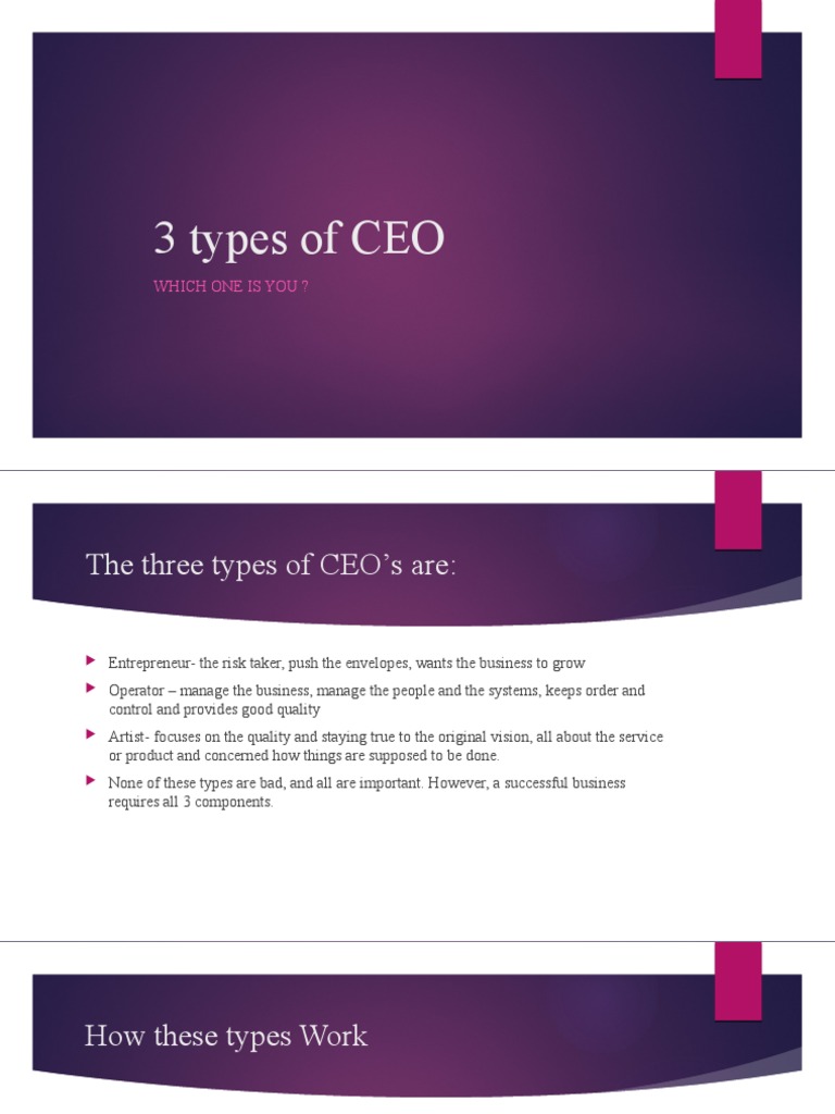 3 Types of CEO: Which One Is You ? | PDF | Entrepreneurship | Cognition