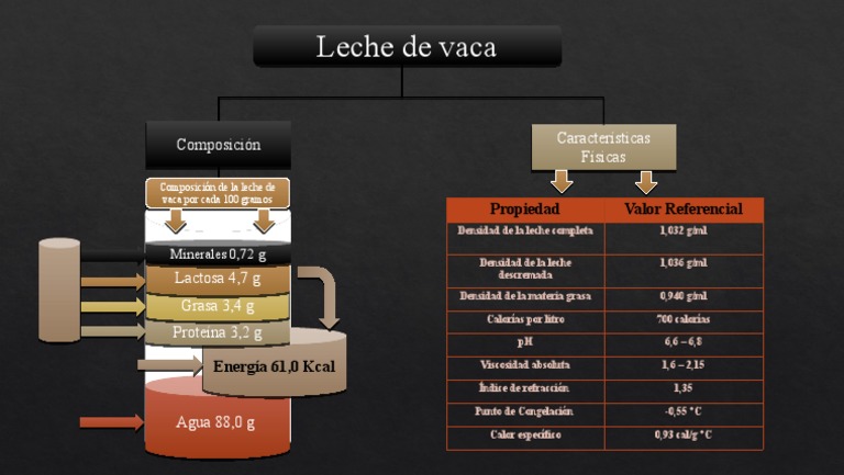 Mapa Conceptual Lacteos | PDF