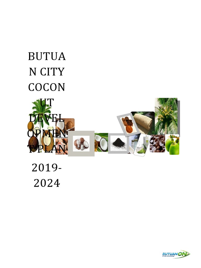 Butuan City Coconut Development Plan 2024 | PDF | Global Warming | Rain