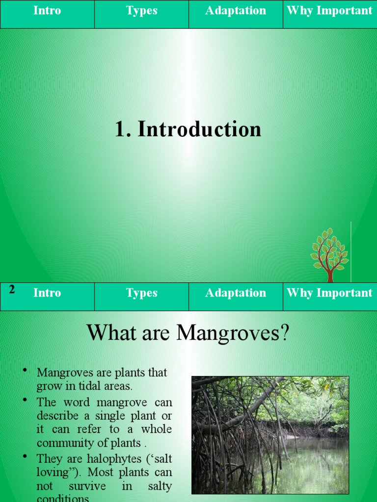 Mangrove - Ecosystems - PowerPoint Techniques | PDF | Mangrove | Ecosystem